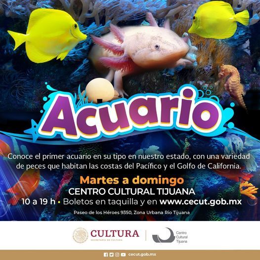 Acuario del Cecut - Exposiciones - Tijuana - Elfest.mx