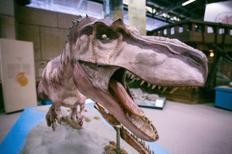 Cecut te invita a visitar el Museo de las Californias - Exposiciones ...